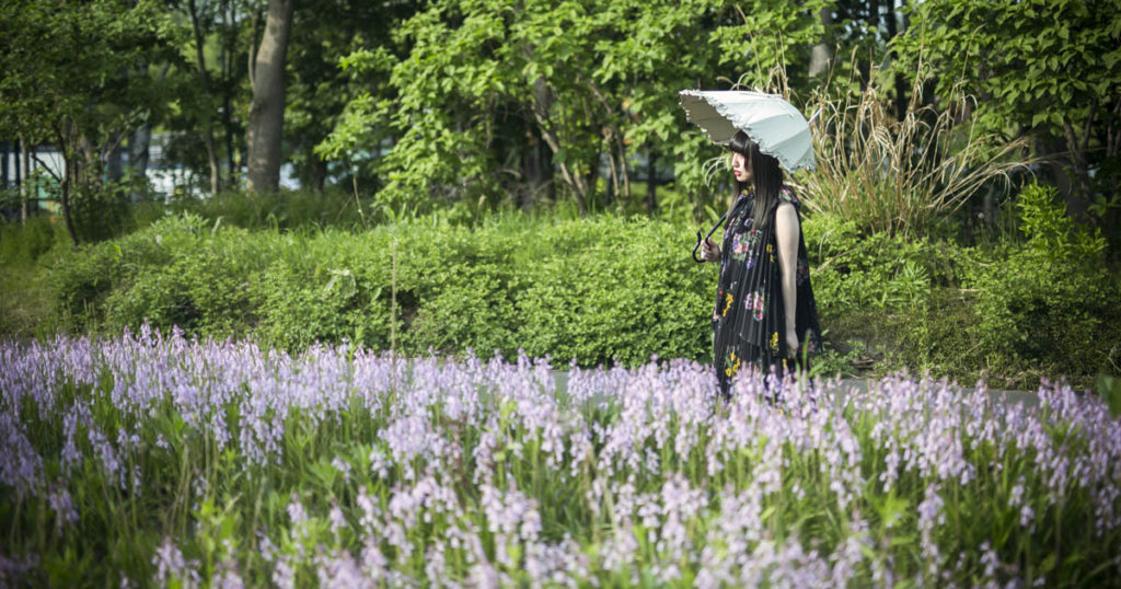 Parashell Parasol by DiCesare Designs | Original umbrellas, parasols ...