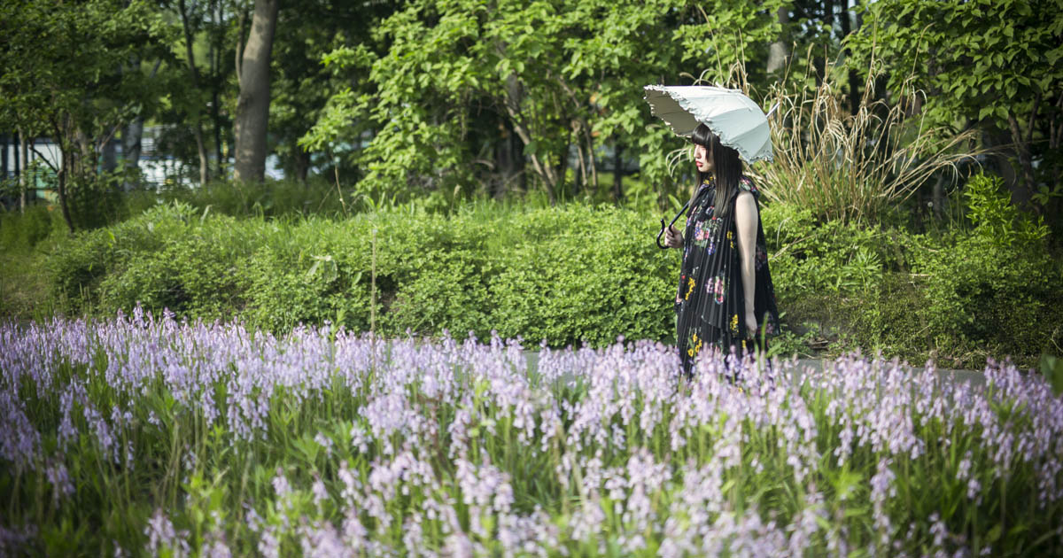 Parashell Parasol by DiCesare Designs | Original umbrellas, parasols ...